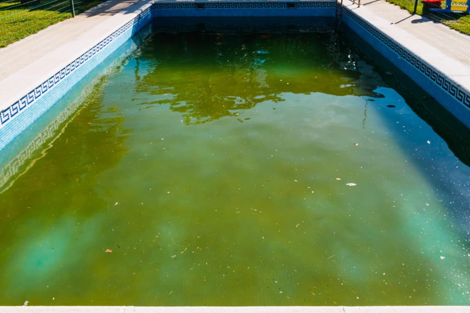 6 Reasons Your Pool Water Is Green | Captains Pool Care